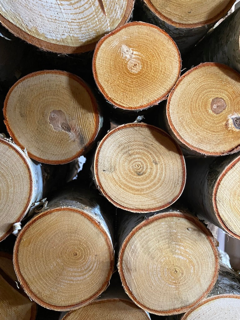 Birch Logs – Woodchucks Wood