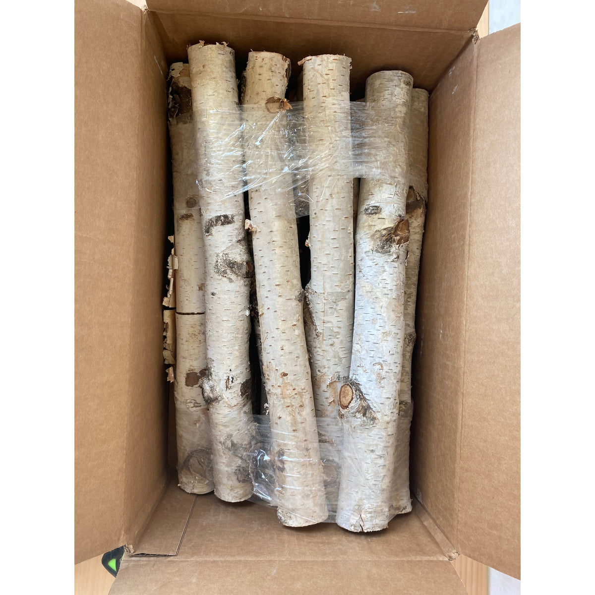 Natural White Birch Logs - Size: Small, 10-pack - Great for Burning, B ...